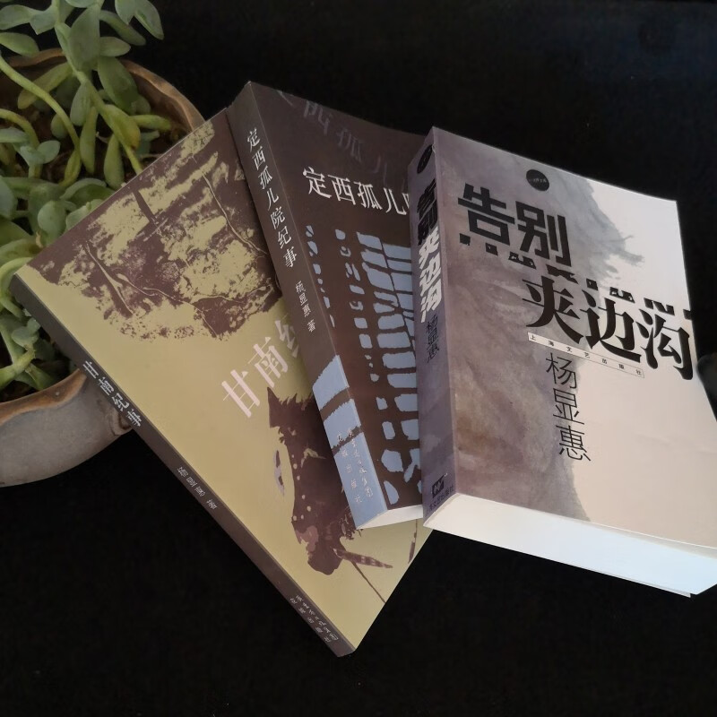+定西孤儿院纪事+甘南纪事 三本齐发