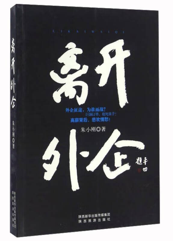 离开外企【好书】