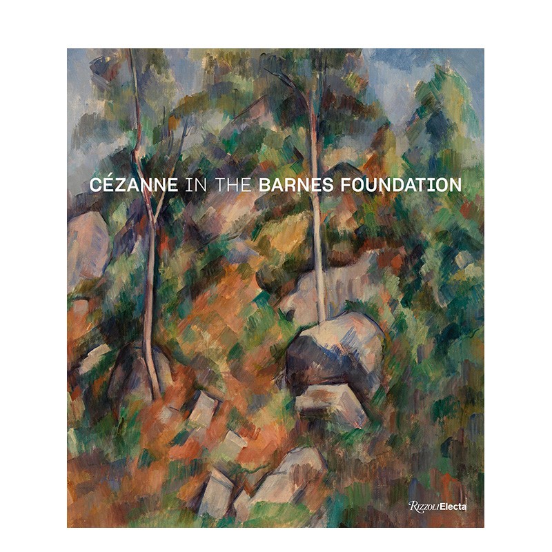 保罗·塞尚：巴恩斯艺术博物馆 Cezanne in the Barnes Foundation 英文原版博物馆收藏及展览画册画集善本图书