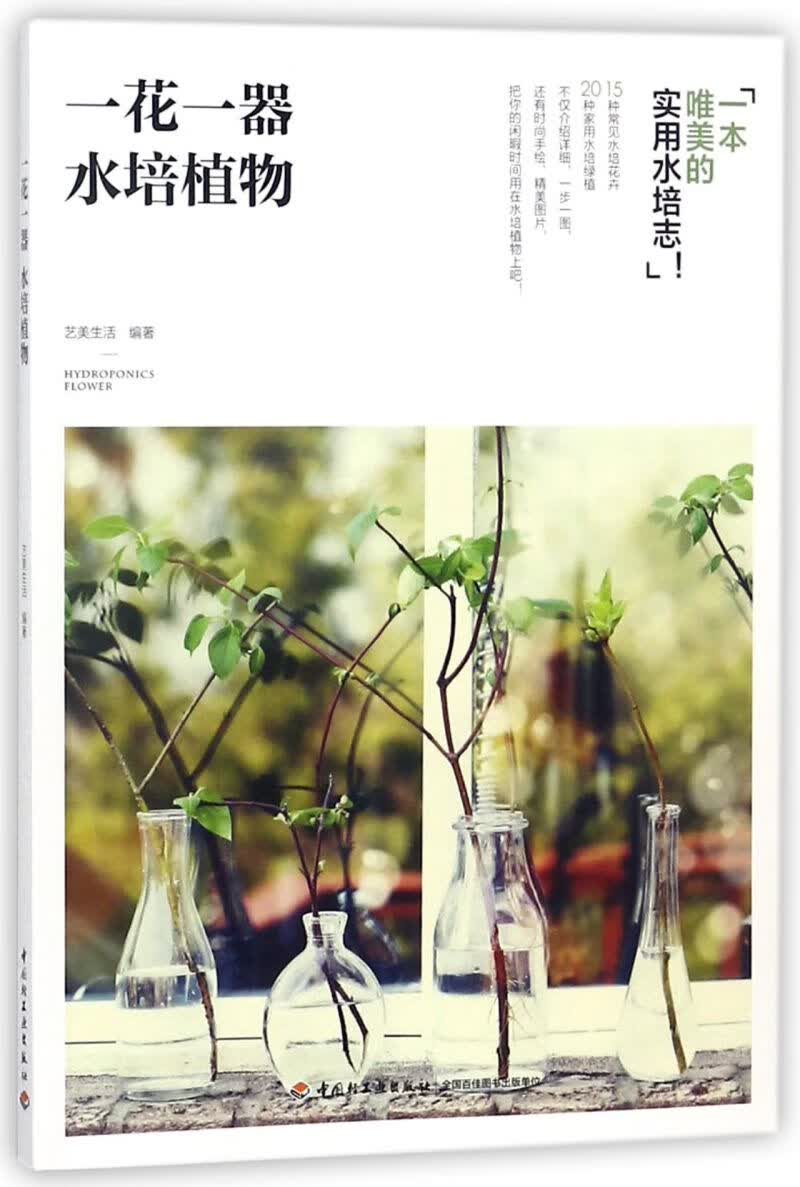 一花一器水培植物