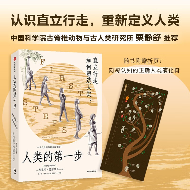 人类的第一步：直立行走如何塑造人类？杰里米·德席尔瓦著 中信出版社