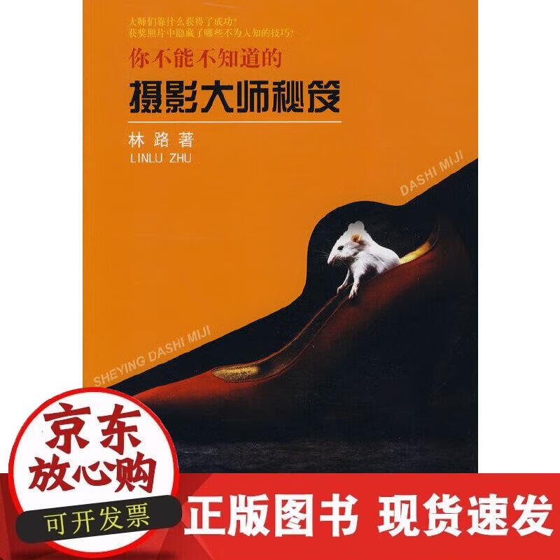 【现货】摄影大师秘笈