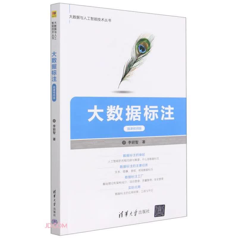大数据标注(微课视频版)/大数据与人工智能技术丛书