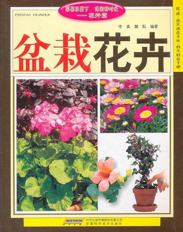 盆栽花卉