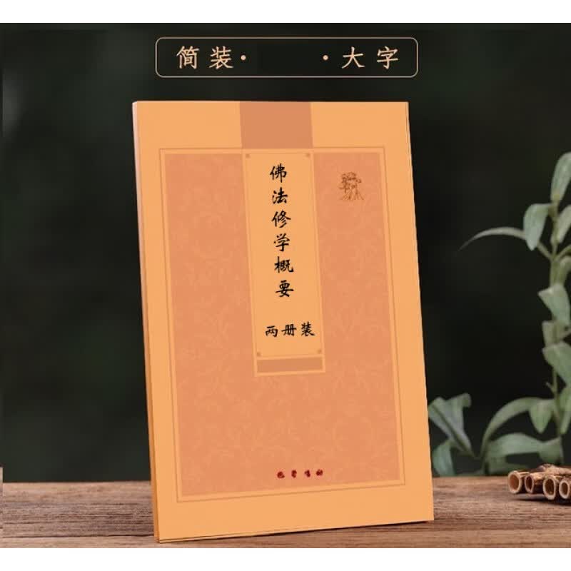 多请优惠简体横排简装佛法修学概要两册装