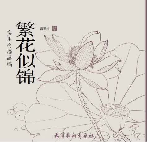 繁花似锦【好书，下单速发】