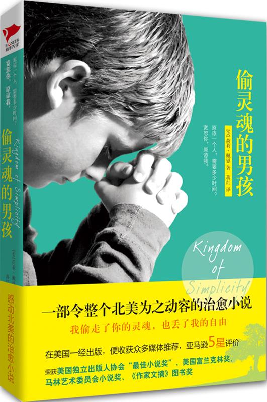 偷灵魂的男孩 荷莉·佩恩 北京联合出版公司
