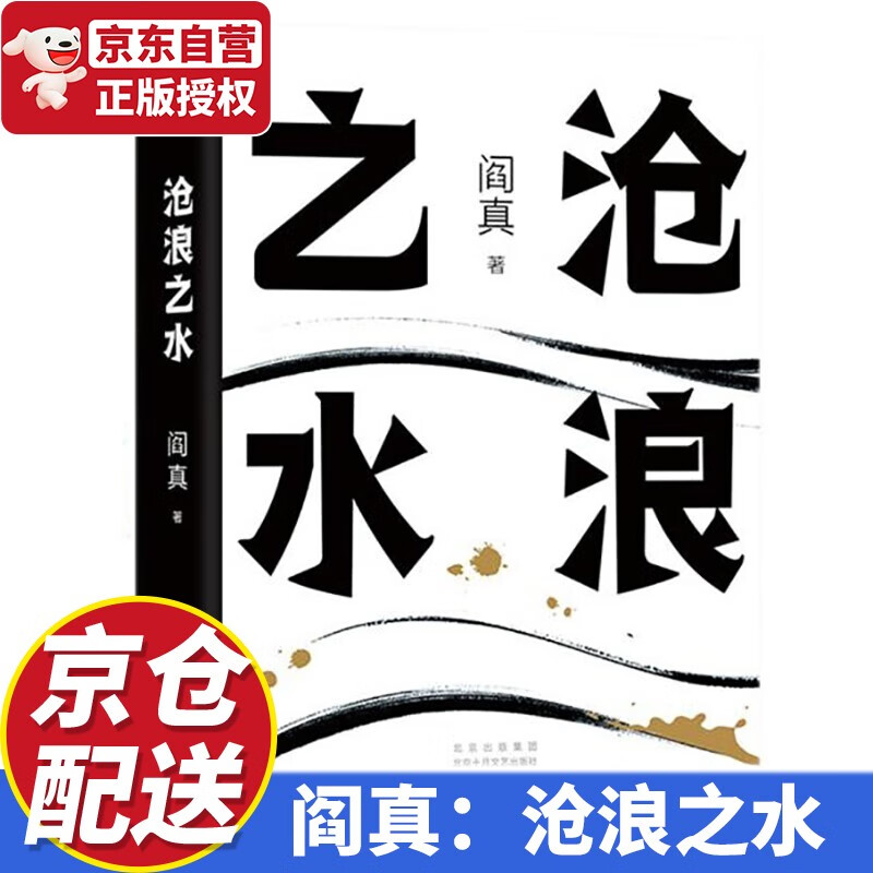 沧浪之水 阎真作品集 原著未删减 胡军、于和伟主演高分电视剧岁月原著小说 入围茅盾文学奖