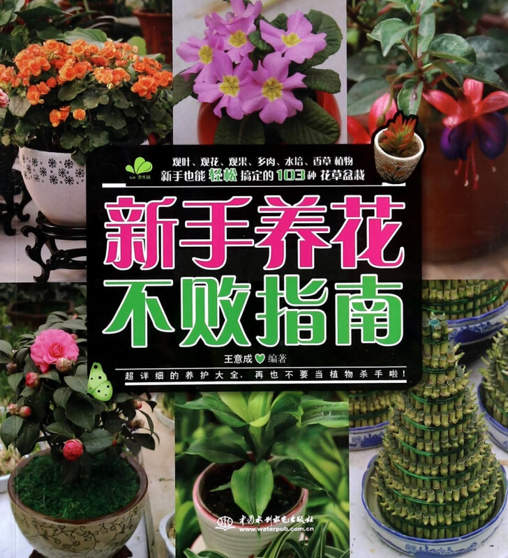 新手养花不败指南