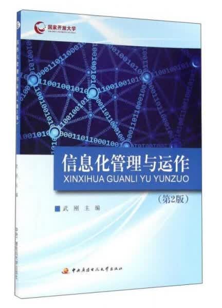 信息化管理与运作第2版 武刚