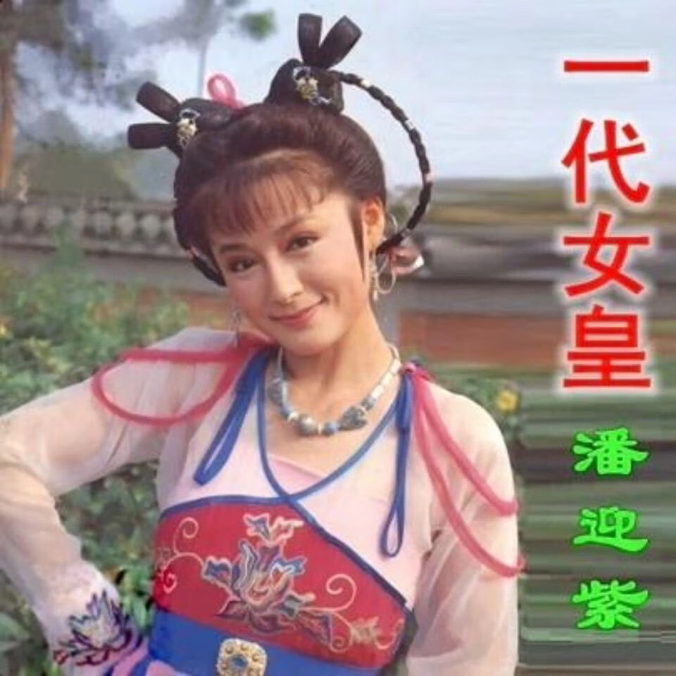 一代女皇武则天85年 发货 即插即看 潘迎紫版国语中字 32GB