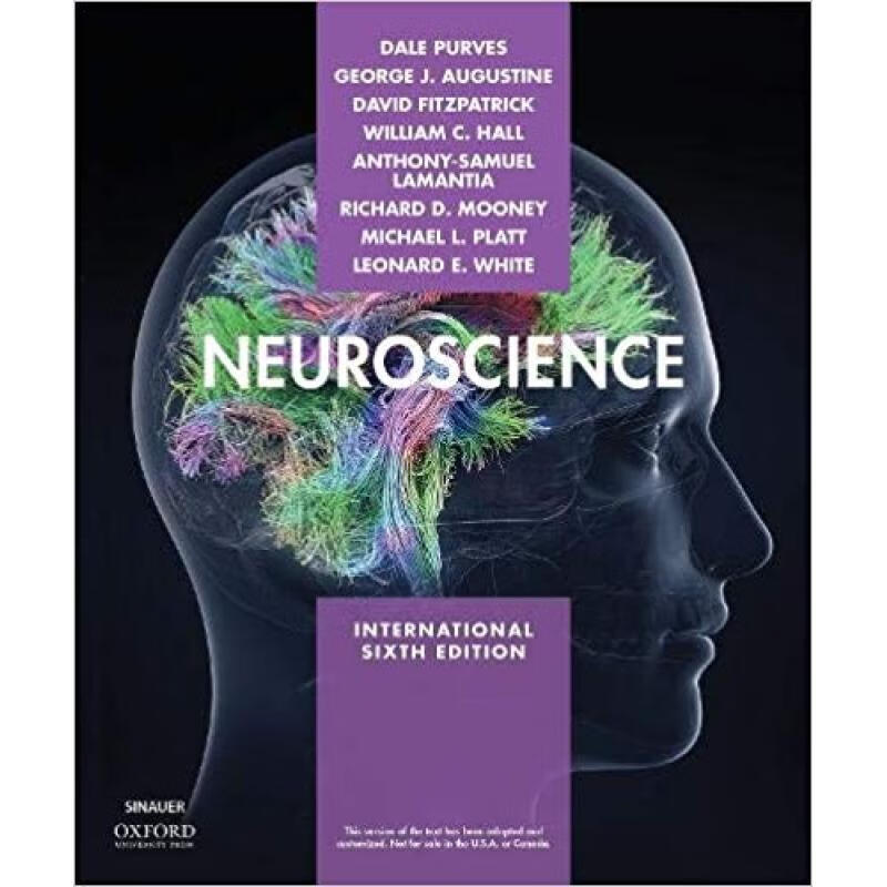 neuroscience-千图网