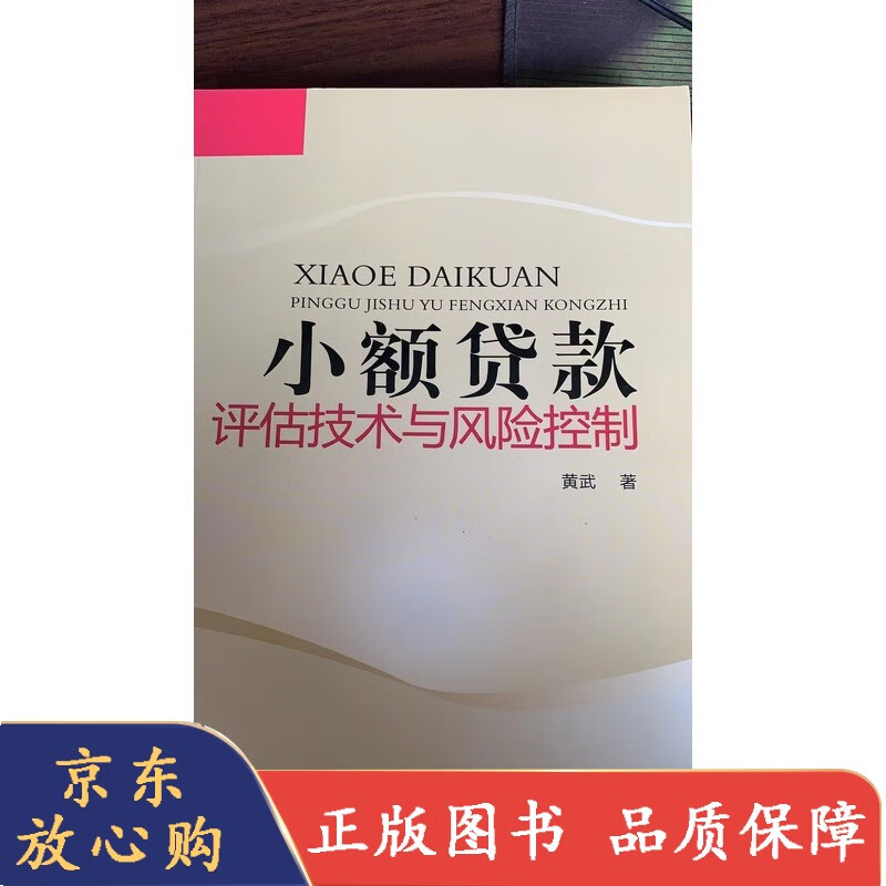 小额贷款评估技术与风险控制