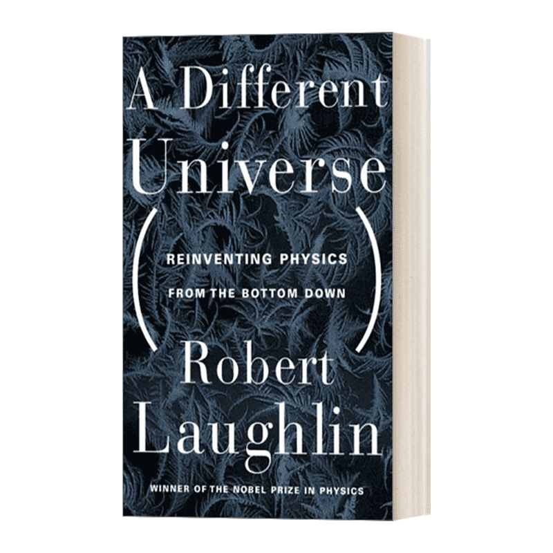 【瑕疵书】A Different Universe 一个不同的宇宙 自下而上重塑物理学 英文版 进口英语原版书籍 英文原版