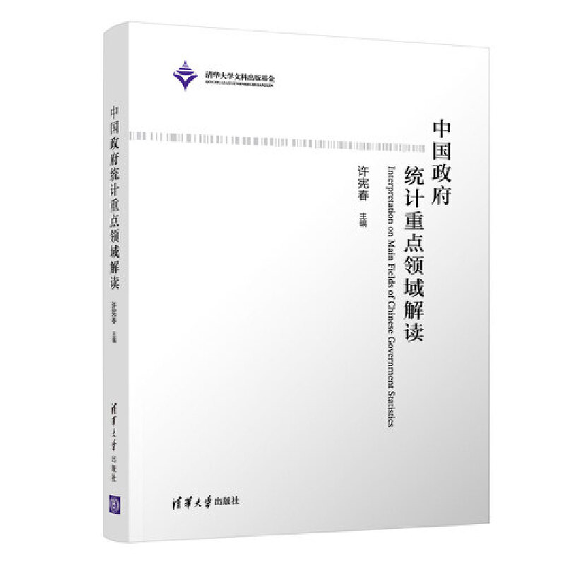中国政府统计重点领域解读 许宪春【好书，下单速发】