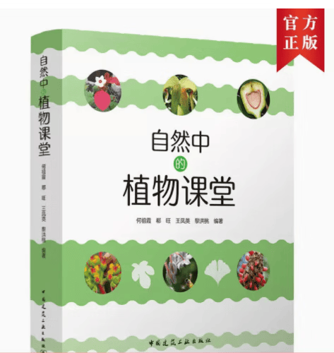 自然中的植物课堂