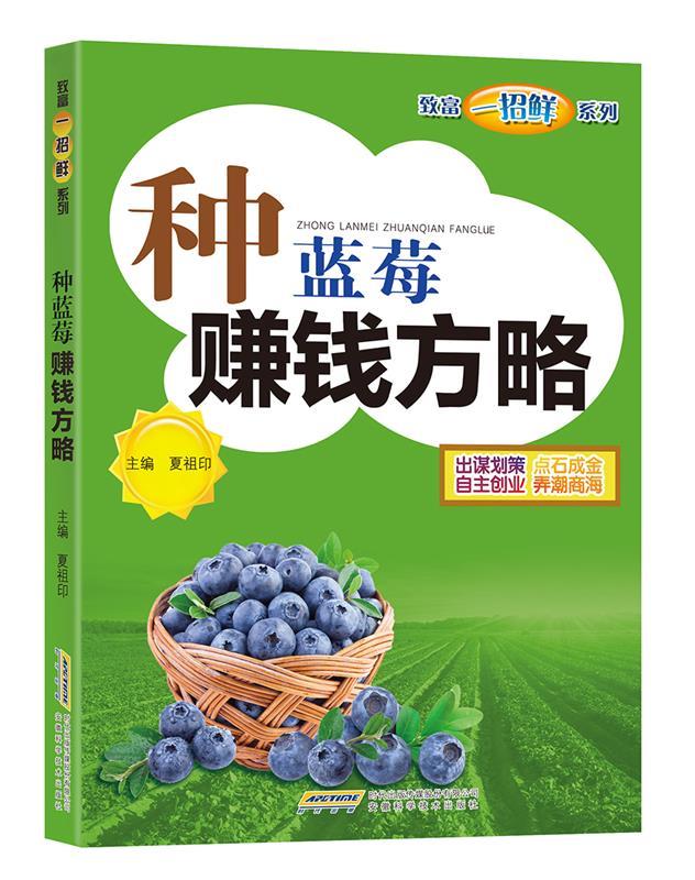 种蓝莓赚钱方略 夏祖印【书】