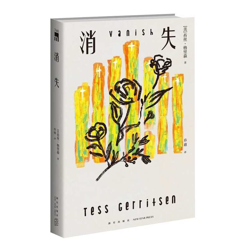 消失 苔丝·格里森话题之作 美剧《妙女神探》系列原著小说 双女主强强联手 惊险刺激 反转不断