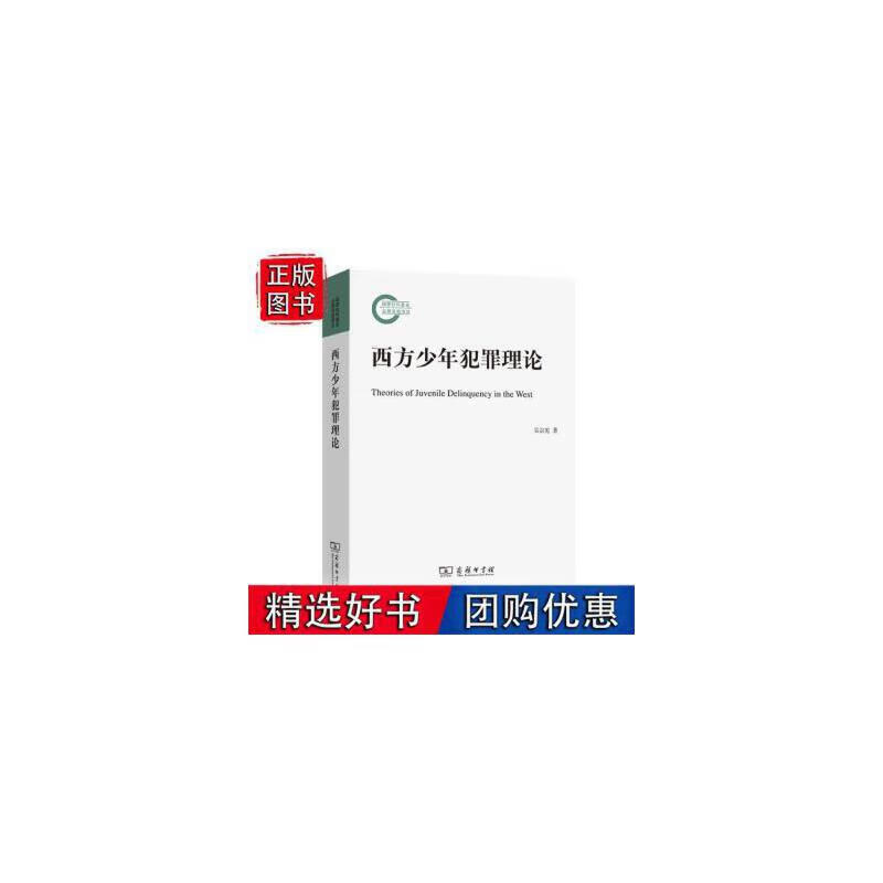 西方少年犯罪理论