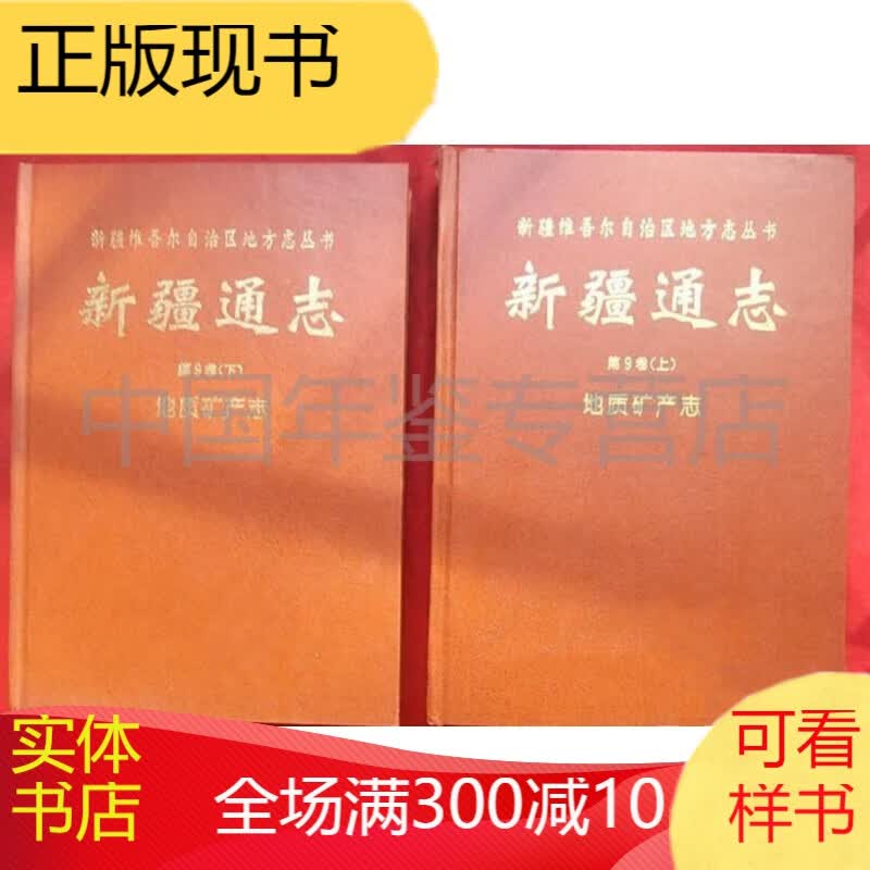 新疆通志 第9卷 地质矿产志 上下二册全 新疆人民出版社 1997版