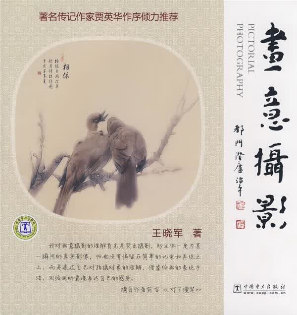 画意摄影 王晓军 著 中国电力出版社 9787508379876