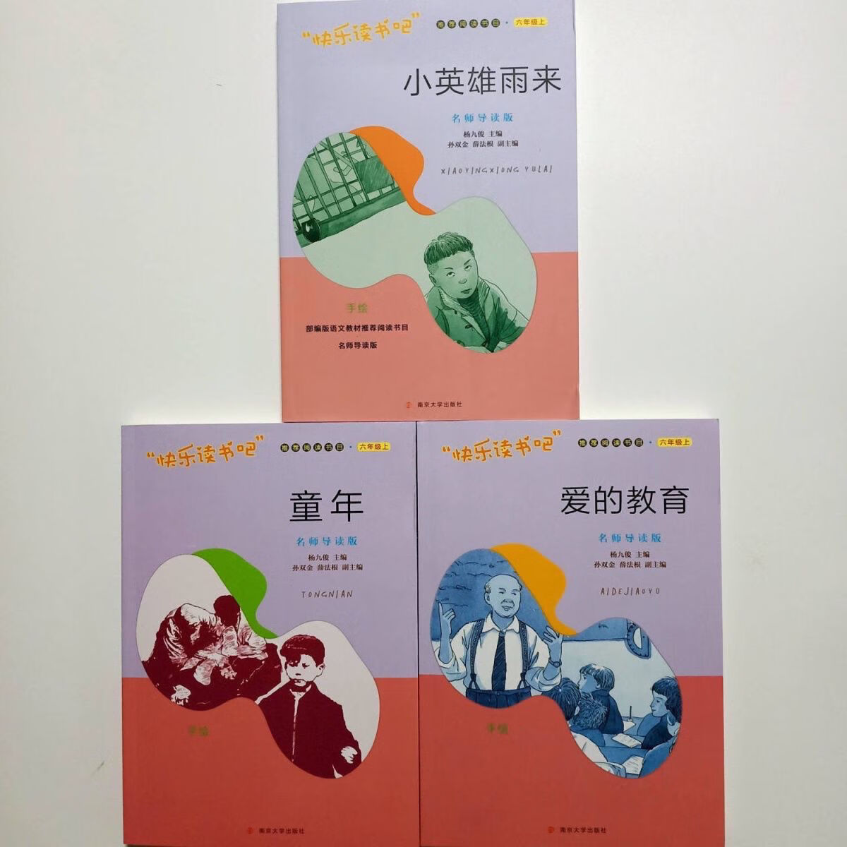 南京六年级上/小英雄雨来/爱的/童年