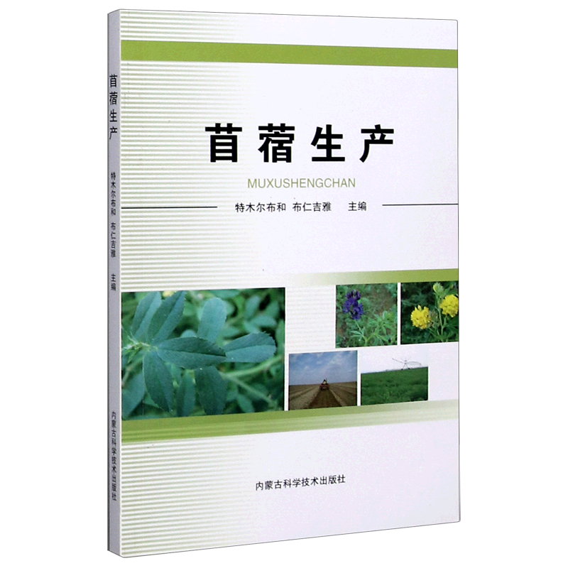 苜蓿生产