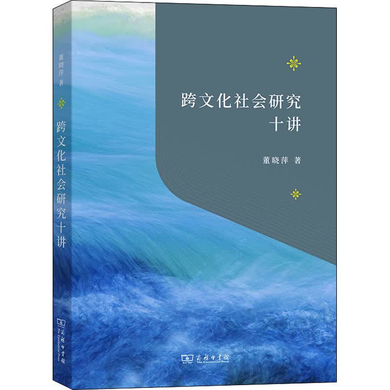 跨文化社会研究十讲 图书