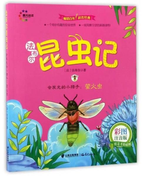 会发光的小猎手:萤火虫