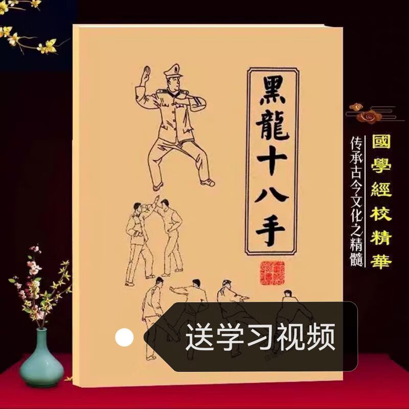 武术擒拿格斗书籍 徒手擒拿格斗十八招手法 学习视频