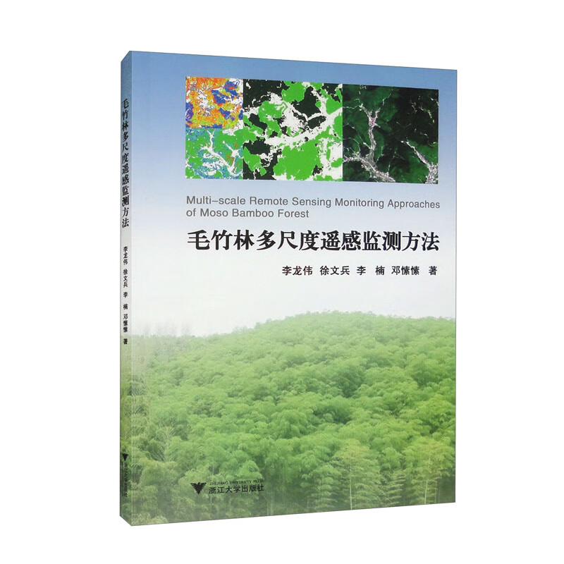 毛竹林多尺度遥感监测方法