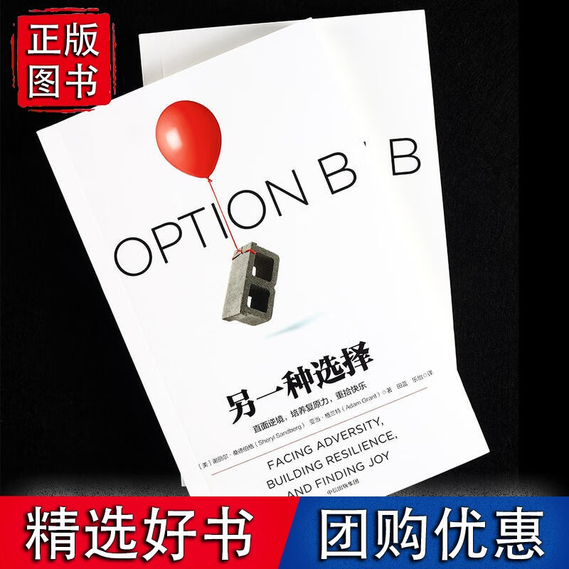 另一种选择