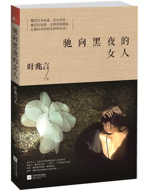 驰向黑夜的女人 小说 书籍