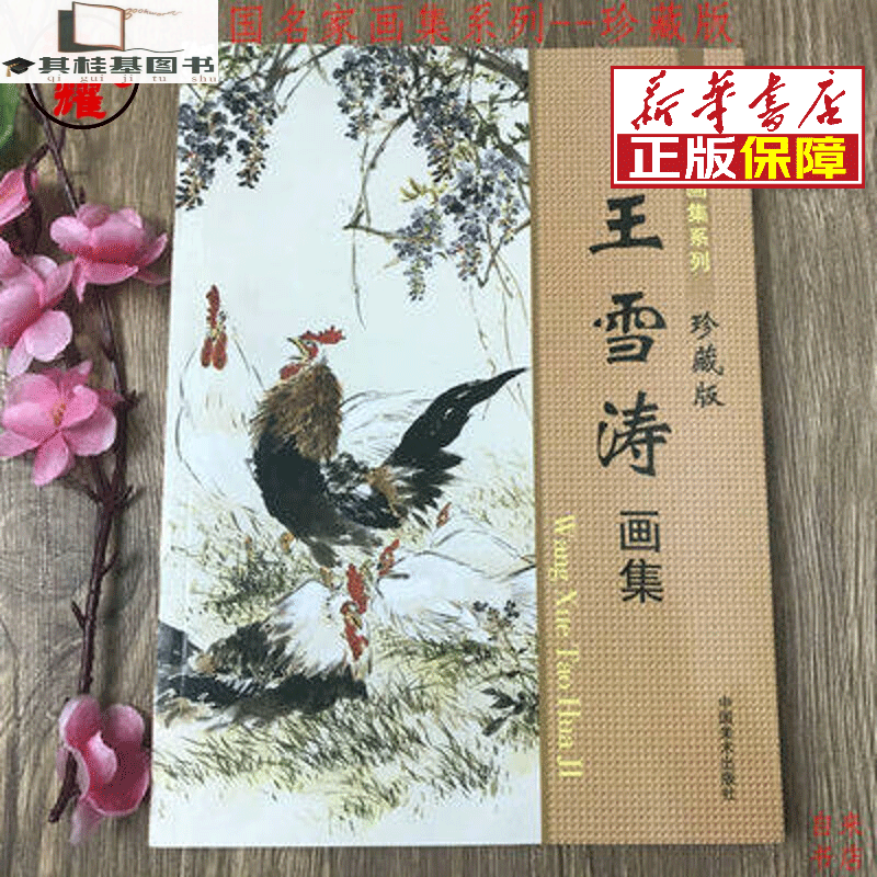 中国名家画集系列 王雪涛 集珍藏版花鸟鸟类草虫禽鸟蔬果 王雪涛 画集