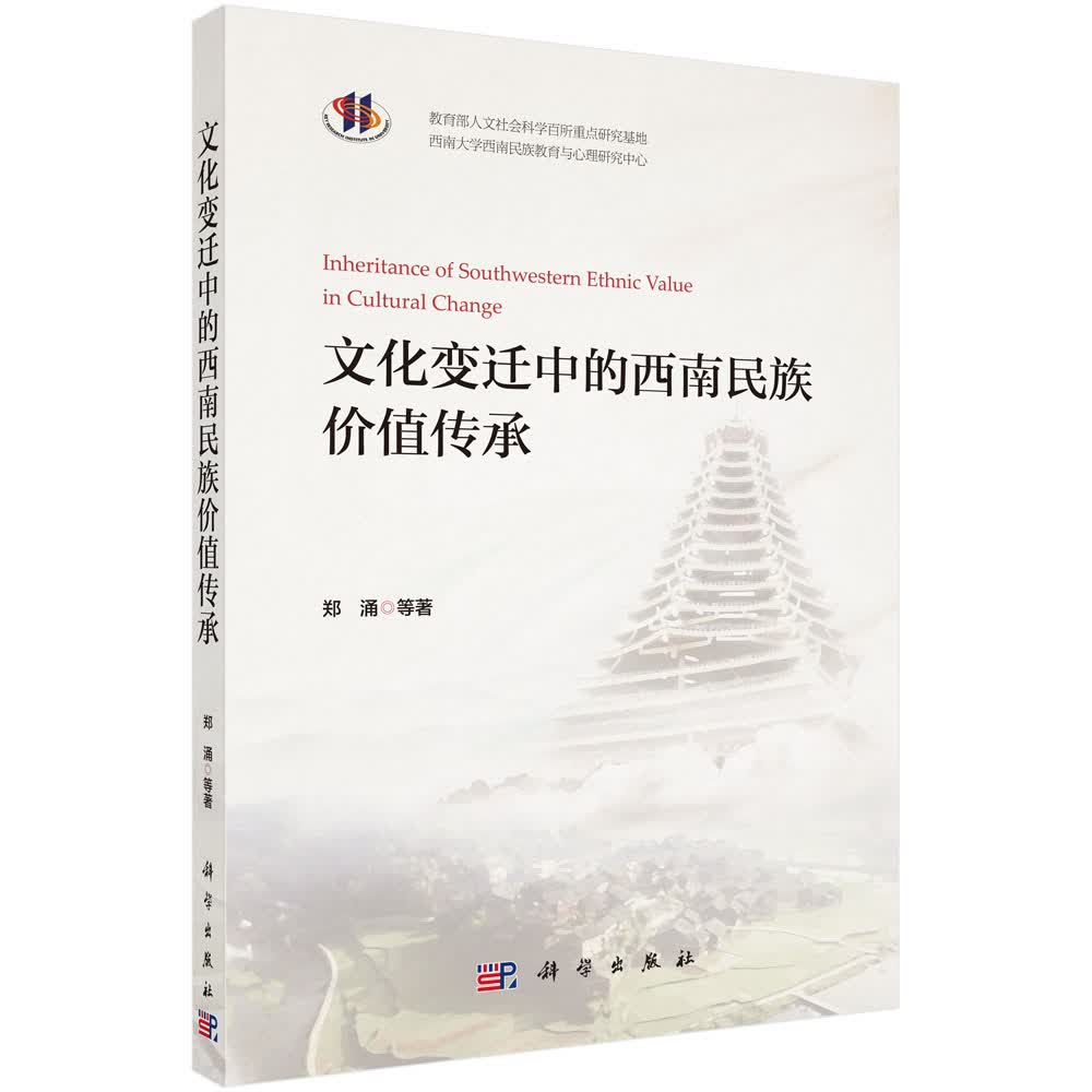 文化变迁中的西南民族价值传承 文化 书籍