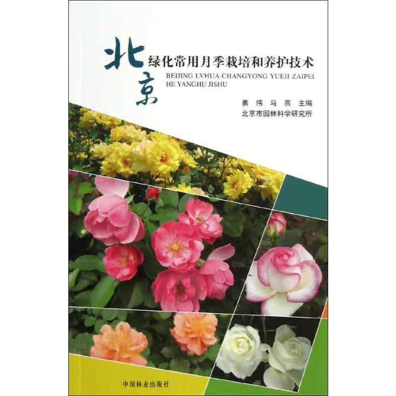 北京绿化常用月季栽培和养护技术