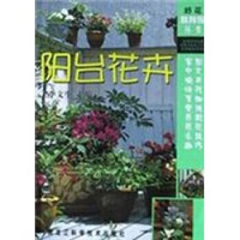 阳台花卉 李文生