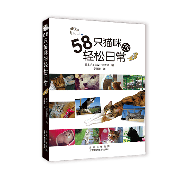 58只猫咪的轻松日常