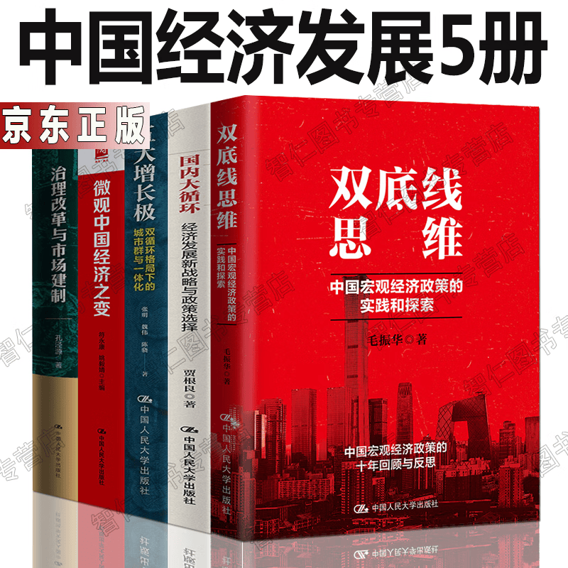 新中国经济全5册 双底线思维+治理改革与市场建制+五大增长极+国内大循环+微观中国经济之变