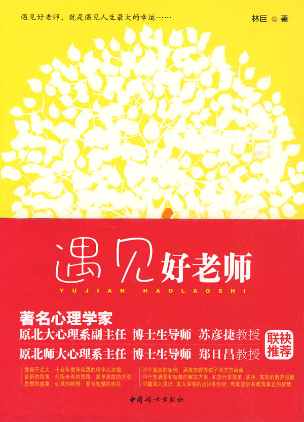 遇见好老师 林巨【书】