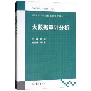 大数据审计分析【好书，下单速发】