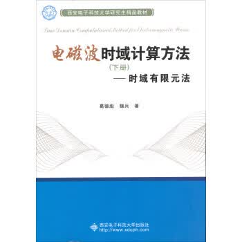 电磁波时域计算方法-时域有限元法-