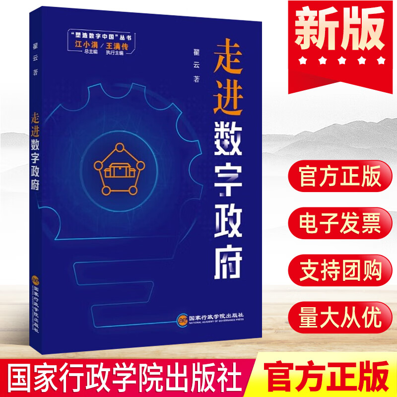 2022新书 走进数字政府（塑造数字中国丛书） 深入剖析数字政府地方实践的改革之势 领导干部数字思维的时代之问书籍