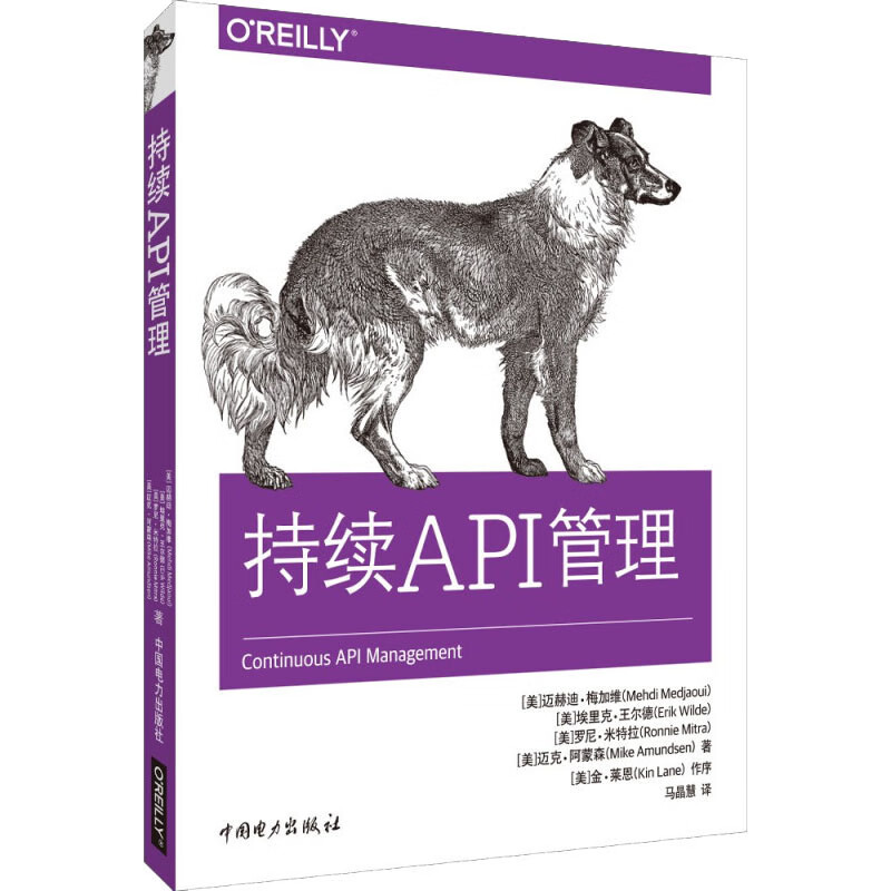 持续API管理 (美)迈赫迪·梅加维 等 马晶慧 译 书籍