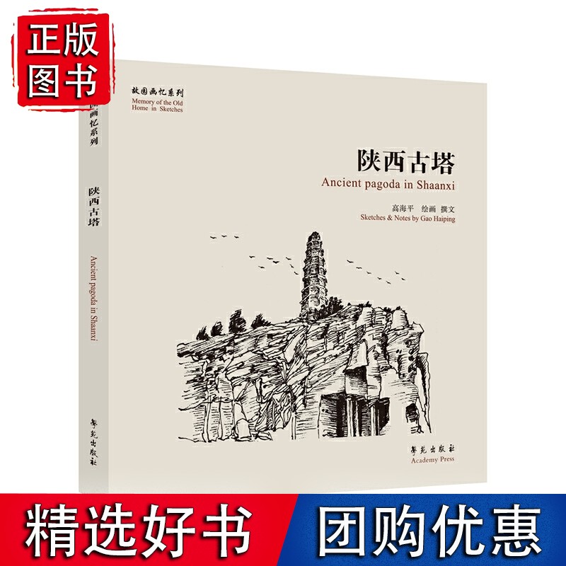 陕西古塔 【故园画忆系列】