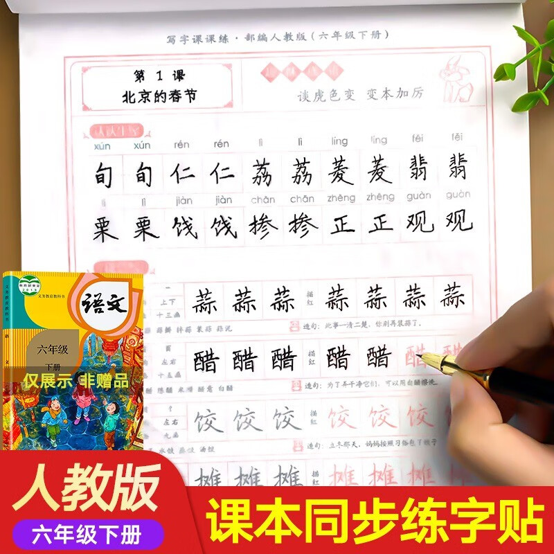 六年级上册下册语文同步字帖练字帖人教版写字练字专项训练小学生6年级上钢笔临摹硬笔书法练习笔画笔顺描红本部编版教材每日一练 【六年级下册】课本同步字帖