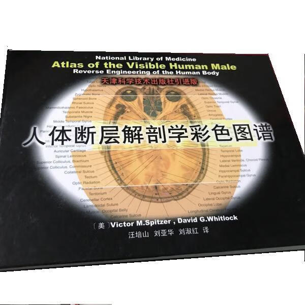 人体断层解剖学彩色图谱 (美)VictorM.Spitzer,(美)DavidG.Whitlock汪