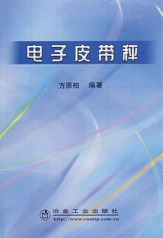 电子皮带秤