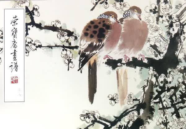 荣宝斋画谱(218花鸟部分)