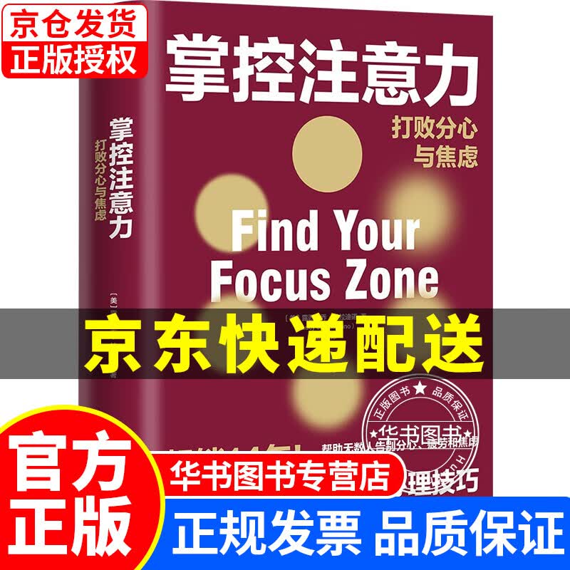 掌控注意力：打败分心与焦虑 掌握注意力
